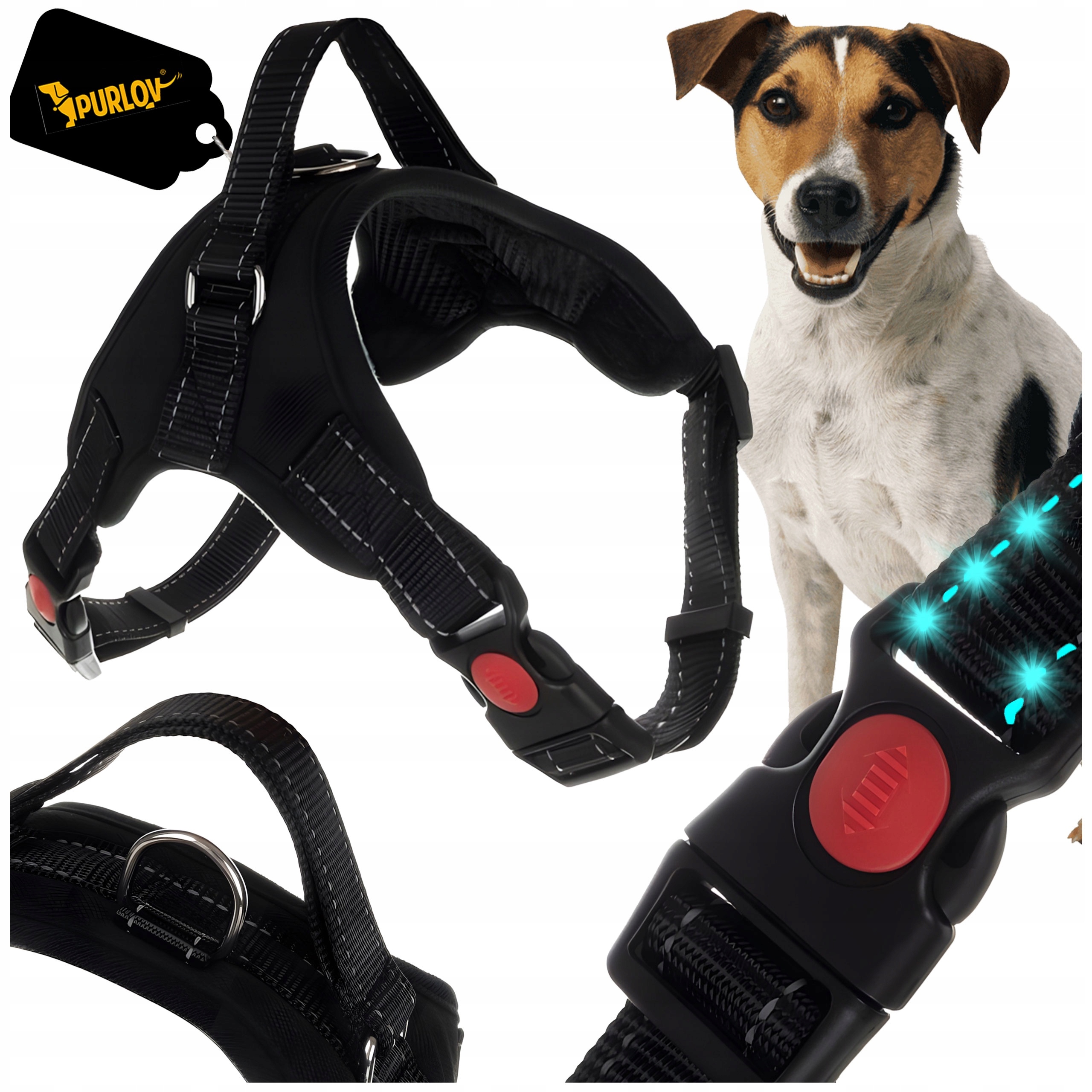 MOCNE SZELKI BEZUCISKOWE dla MAŁEGO PSA czarne typu GUARD markowe DO 22 ...