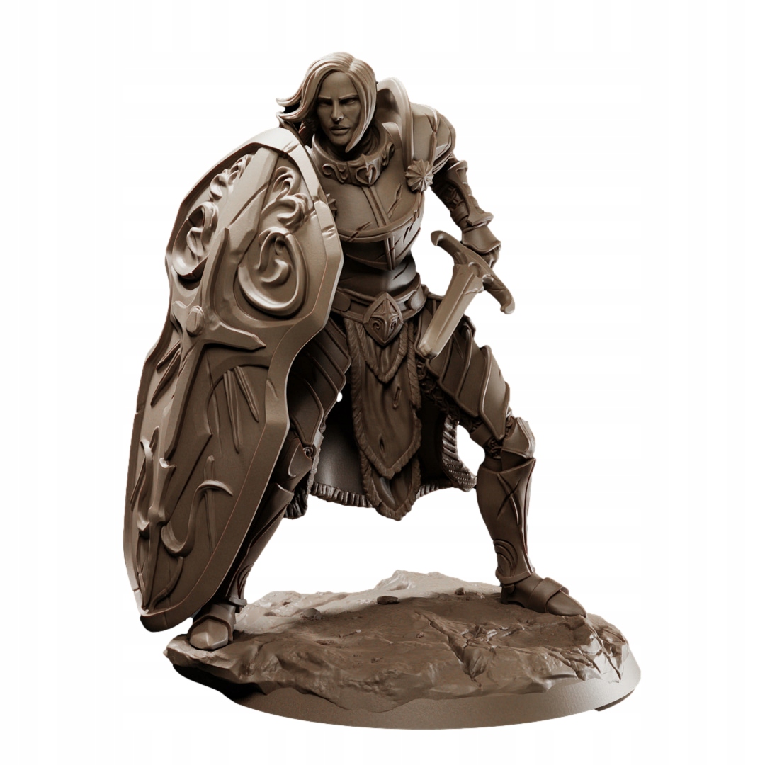 Female Human Paladin - Paladyn (Kobieta) - DnD RPG - Stan: nowy 21,99 ...