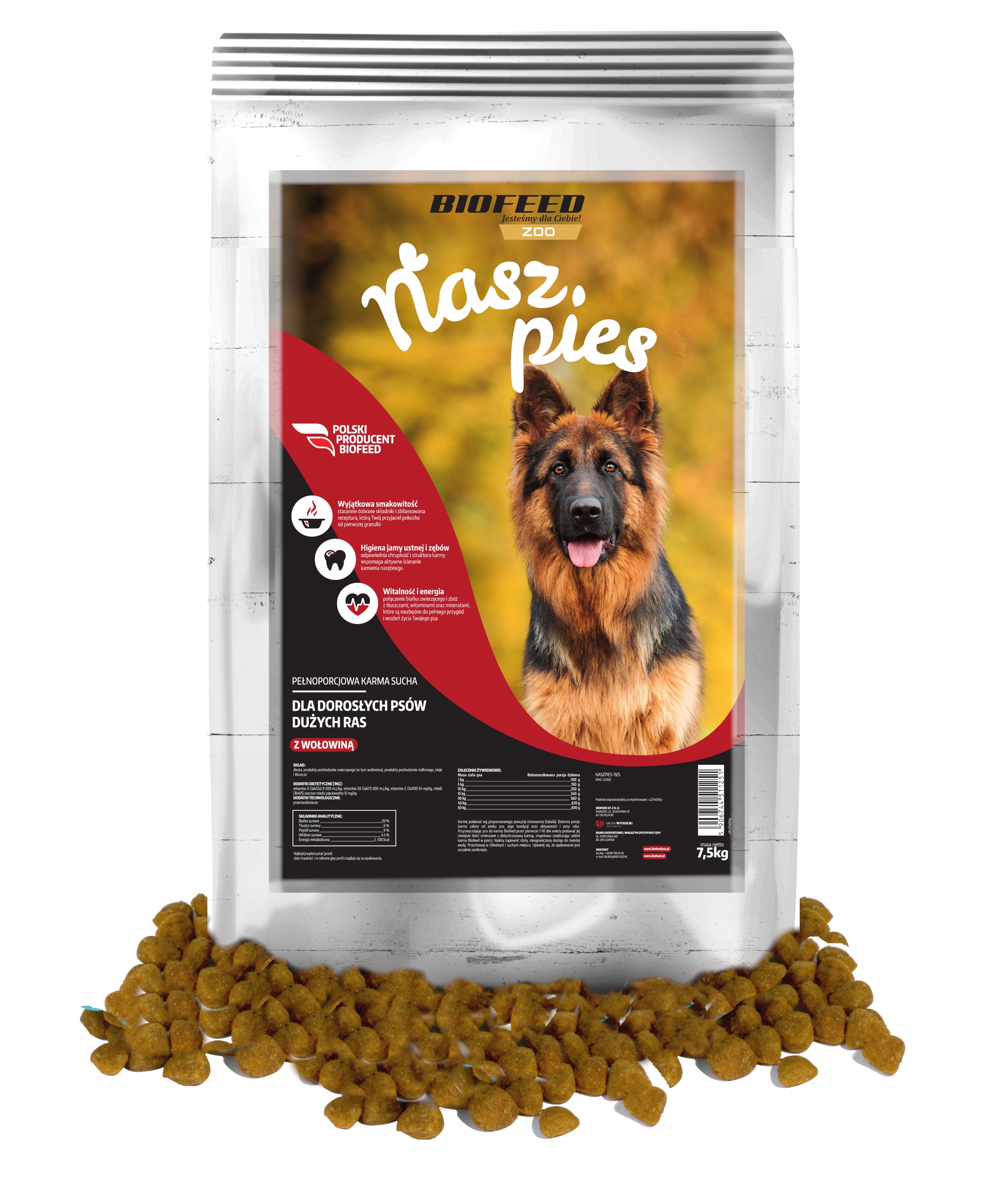 Border Coli Pies - Niska cena na Allegro.pl