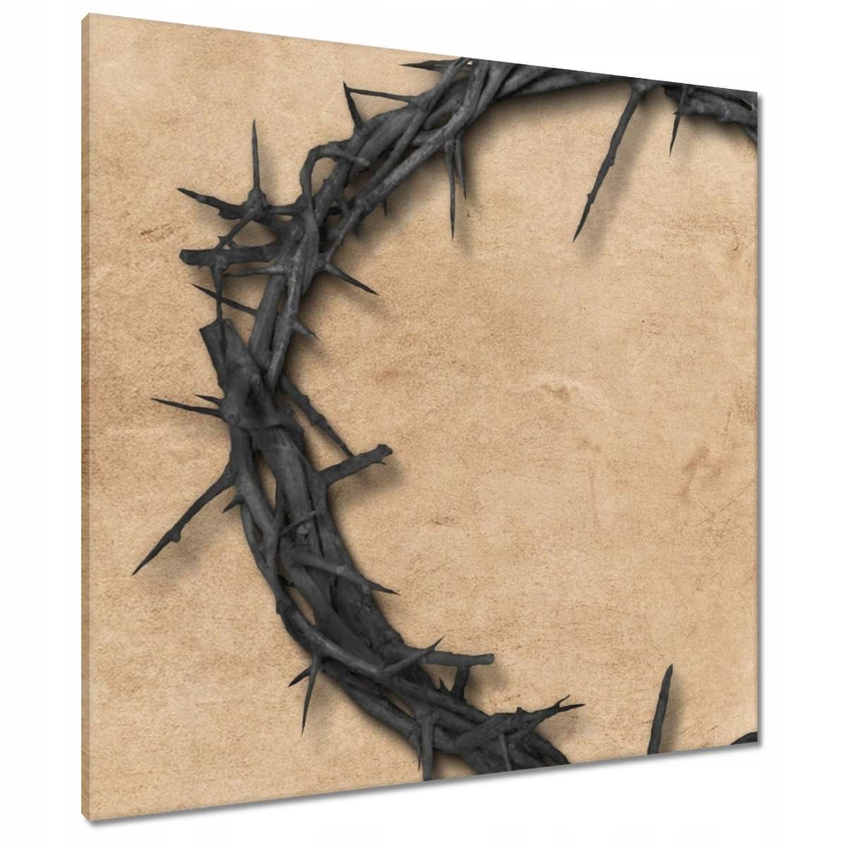 Obrazy 80x80 Trnová koruna Trny - Allegro
