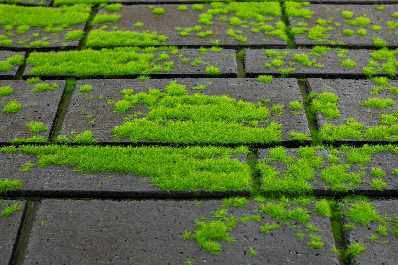 Mech Chrobotek Panel - Niska cena na Allegro