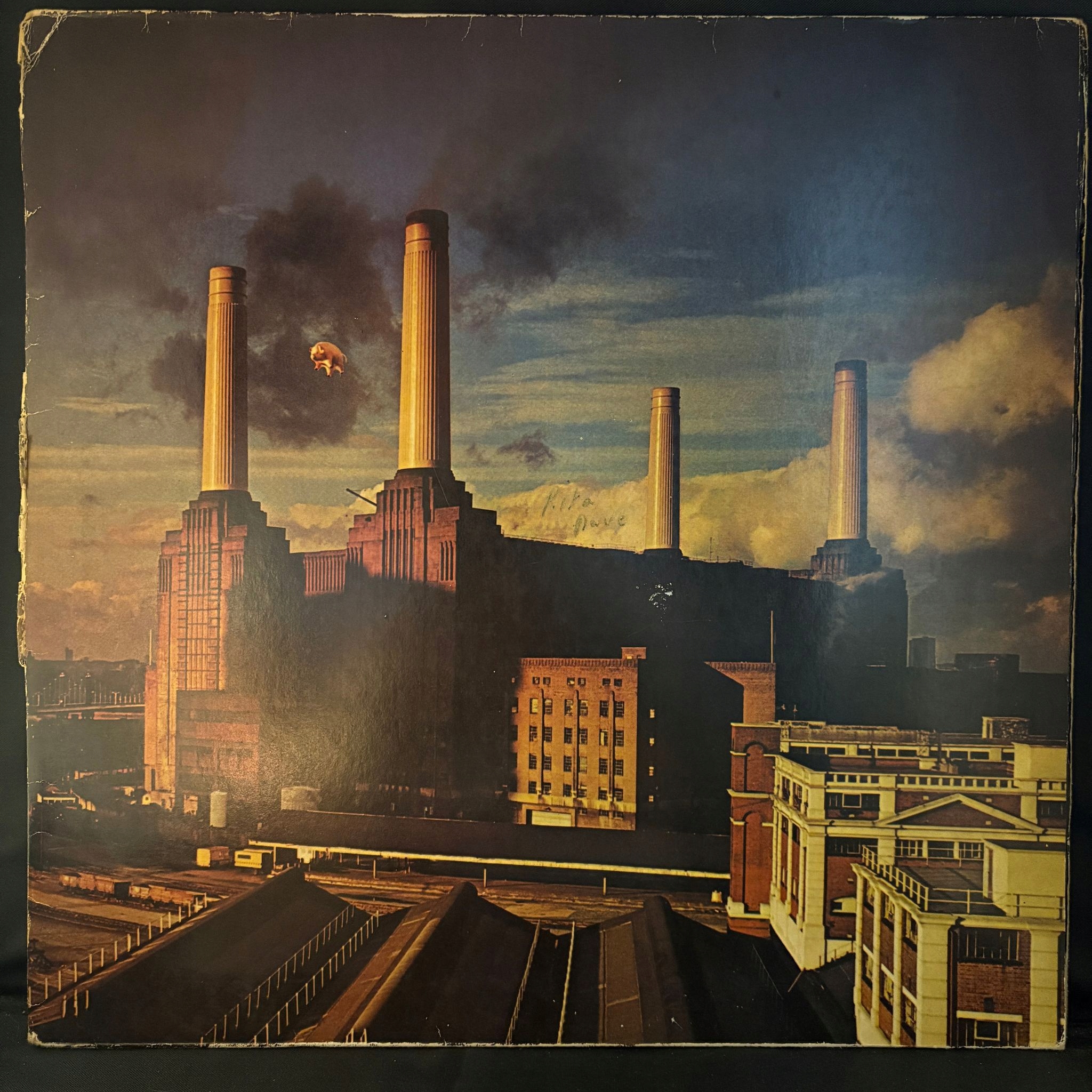 Pink Floyd – Animals G+ 17259290706 - Sklepy, Opinie, Ceny w Allegro