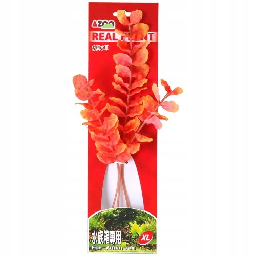AZOO Real Plant Rotala Macrandra Orange XL (30cm) (4714954980184 ...