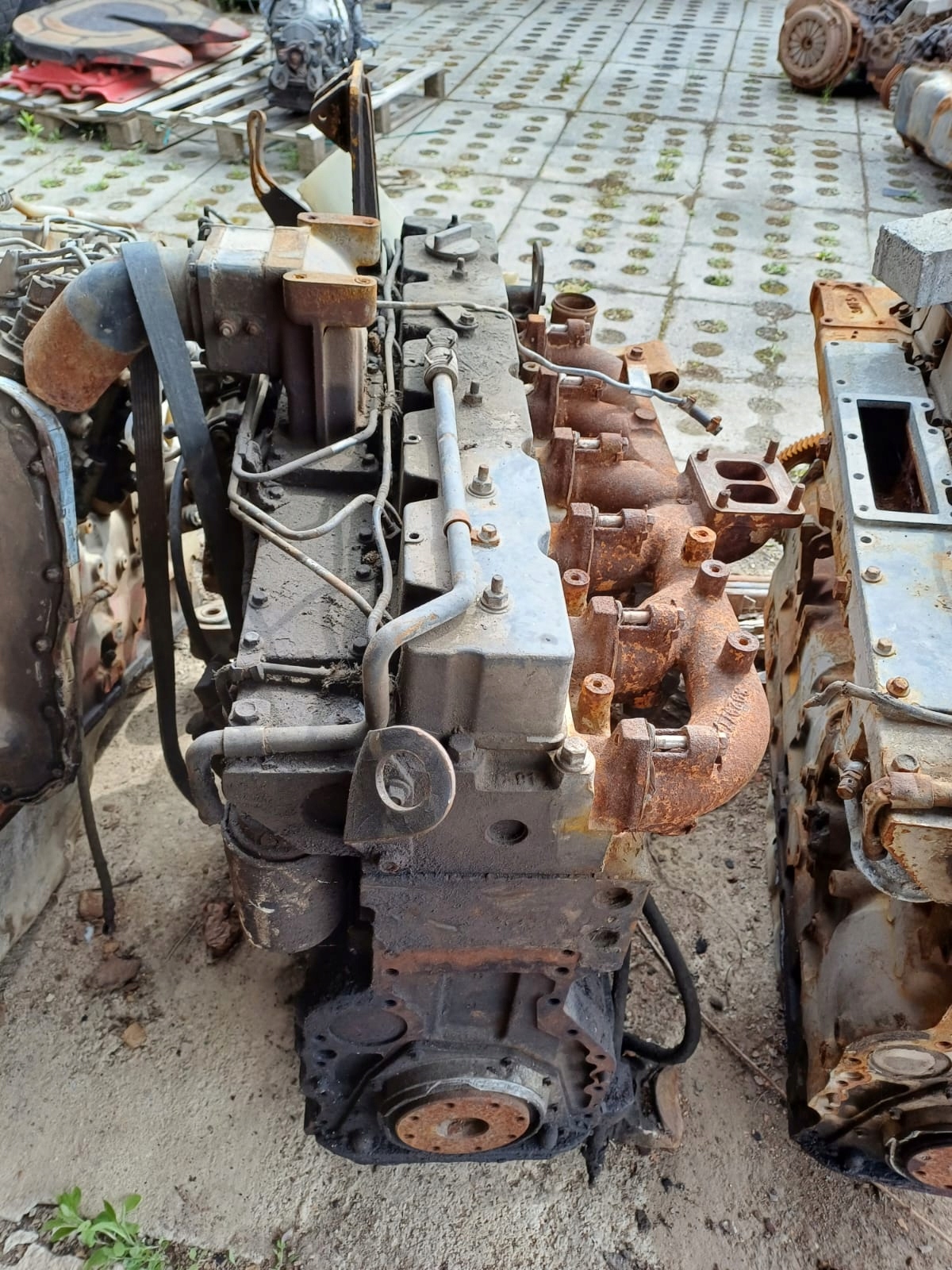 Silnik Cummins 6ct - Niska cena na Allegro