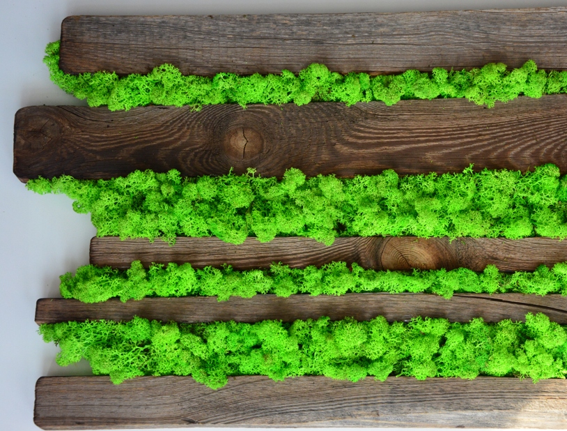 mech CHROBOTEK postarzane deski 80X40 • Cena, Opinie • Obrazy ...