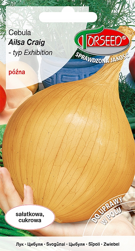 Cebula Ailsa Craig nasiona 1g cukrowa Torseed (5906262008608) • Cena ...