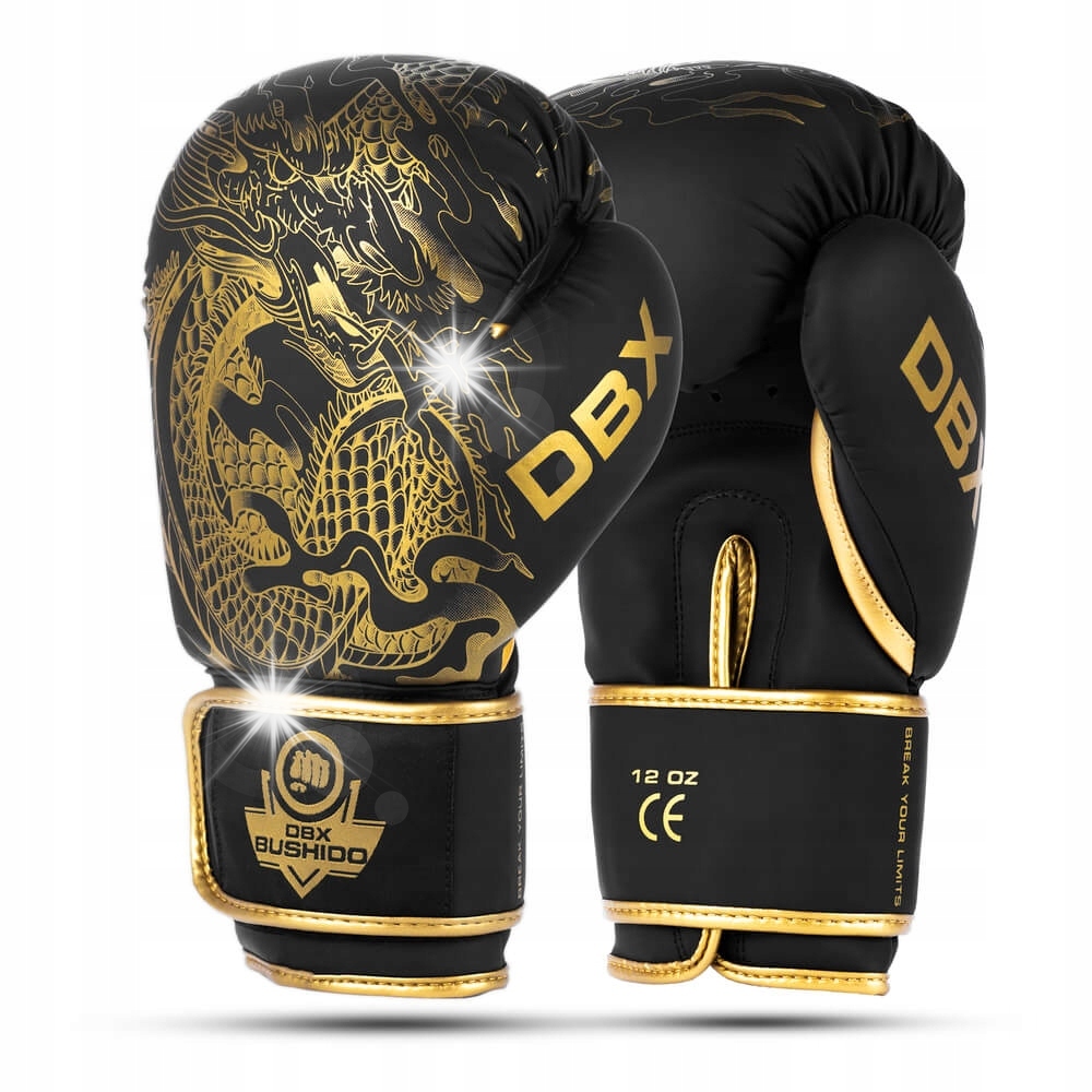 BOXERSKÉ RUKAVICE SPARINGOVÉ TRÉNINKOVÉ GOLD DRAGON DBX BUSHIDO 14 oz ...