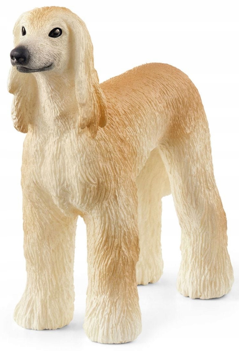 Chart Afgański - Niska cena na Allegro.pl