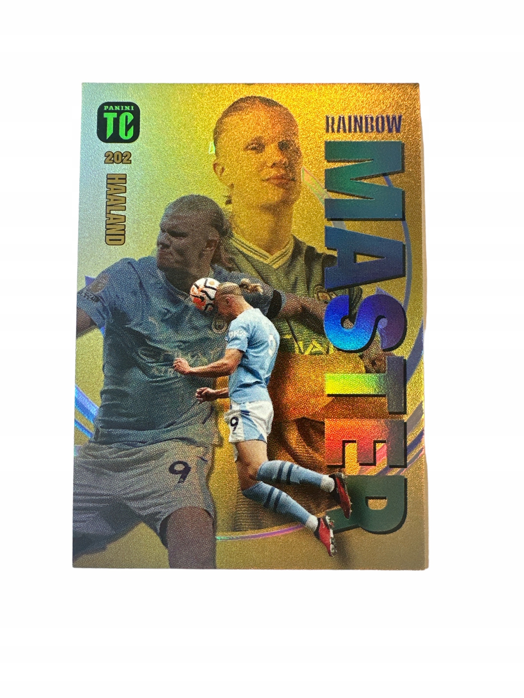 TOP TRIEDA 2024 RAINBOW MASTER 202 ERLING HAALAND REAL - Allegro