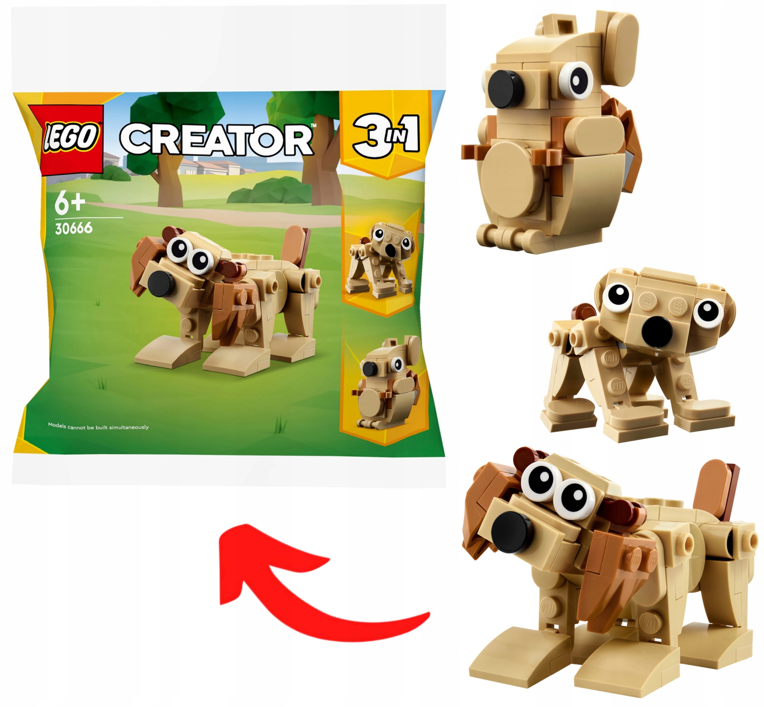 LEGO Creator 30666 Prezentowe zwierzęta (5702017591063) • Cena, Opinie ...