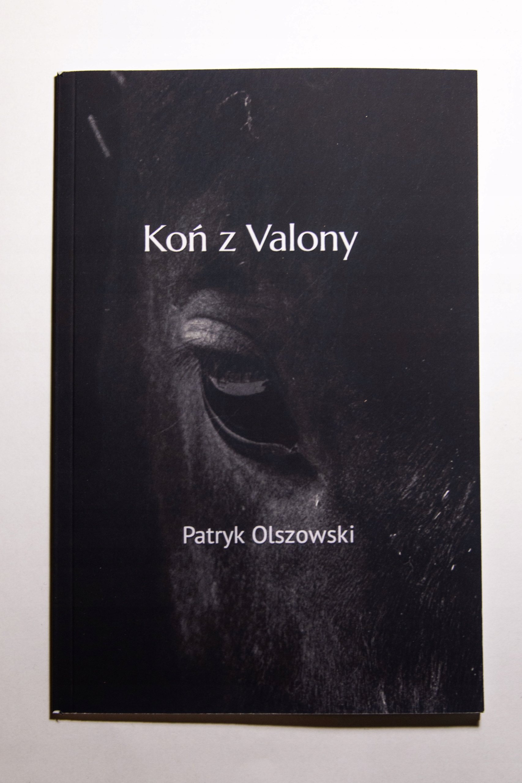 Koń z Valony - Patryk Olszowski (16831588747) | Książka Allegro