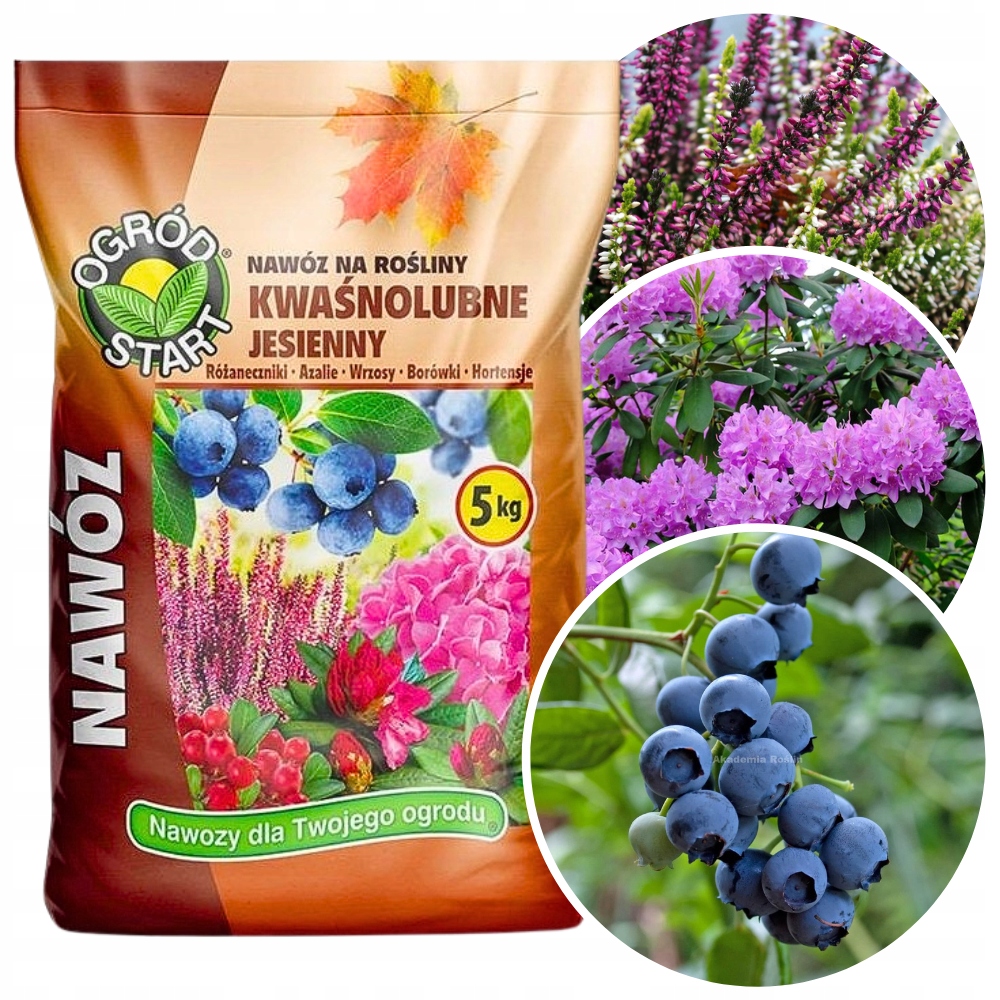 Nawóz jesienny do roślin kwaśnolubnych borówka rododendron 5kg Ogród Start (5907730801844 ...