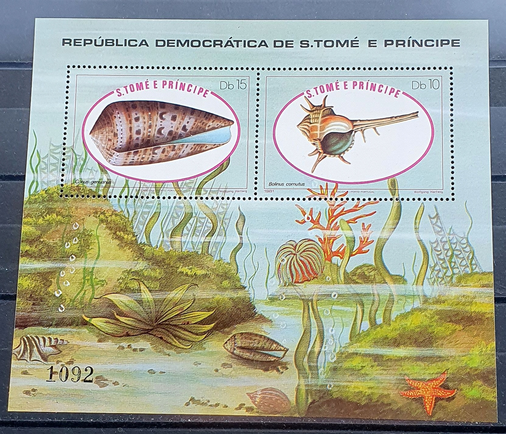ST.TOME E PRINCIPE TÉMA MUŠLE ** 1981 MI BLOK 56 za 160.00CZK - Allegro