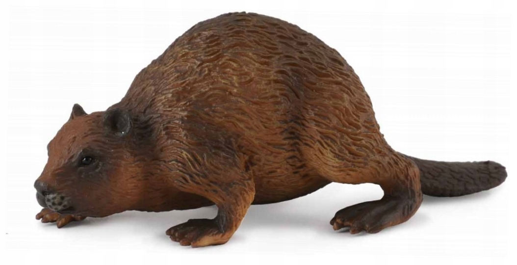 Bóbr Julek - Niska cena na Allegro