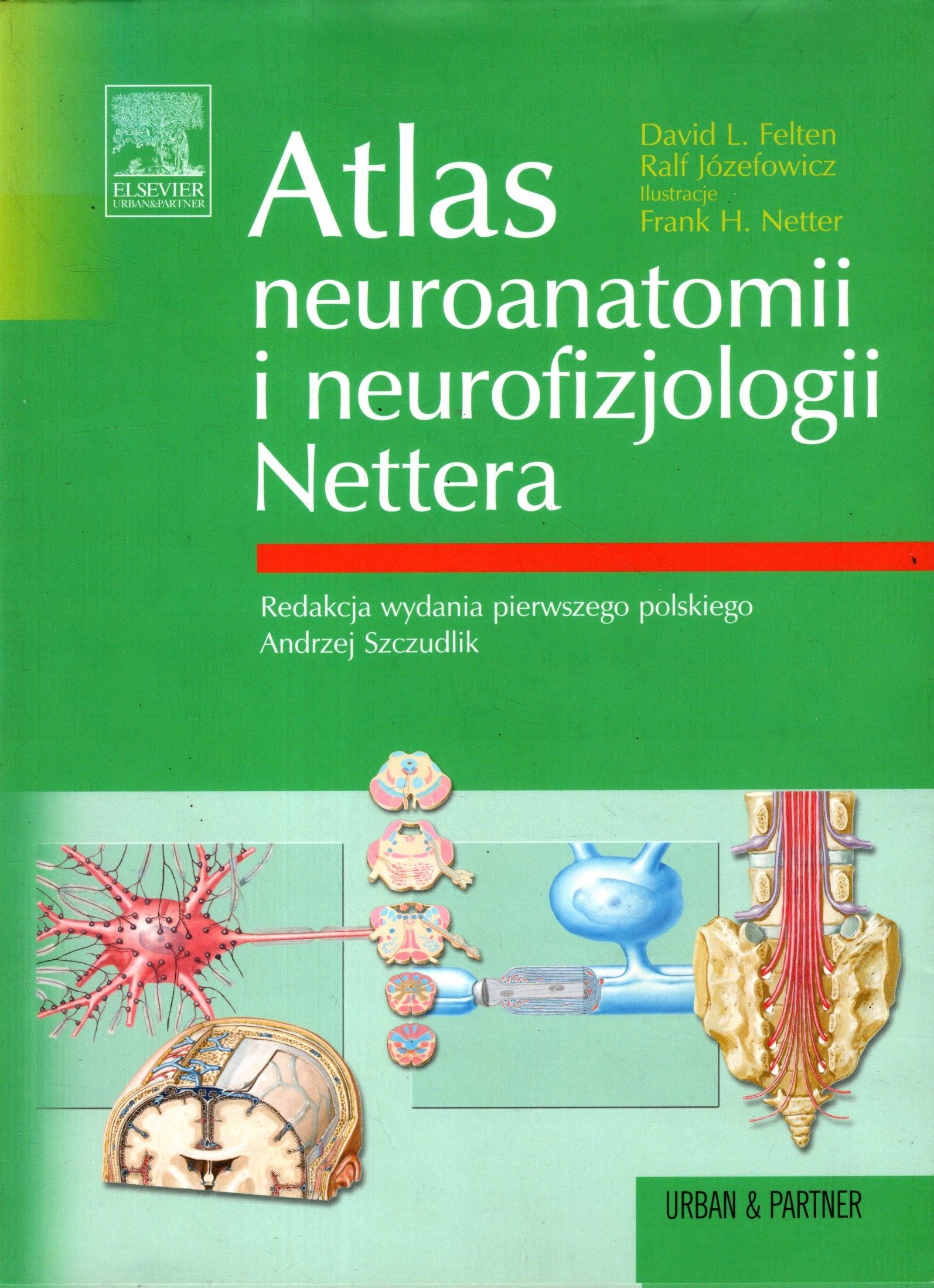 Atlas neuroanatomii i neurofizjologii Nettera David L. Felten, Ralf ...
