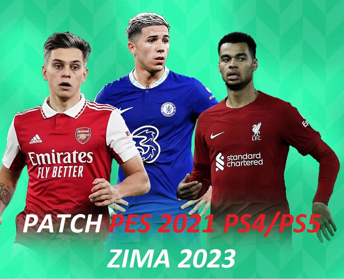 Pes Ps - Niska cena na Allegro.pl