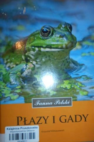 Płazy i gady Fauna Polski Krzysztof Klimaszewski • Cena, Opinie - Allegro