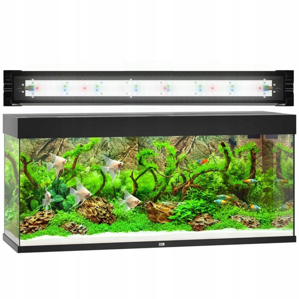 JUWEL Rio 240 akwarium z HeliaLux Spectrum LED • Cena, Opinie • Zestawy ...