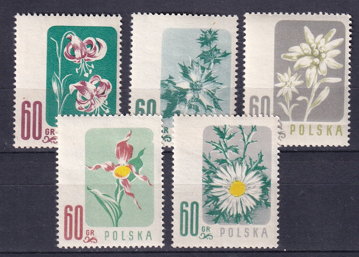 Fi 876-880, 1957r. D2290 • Cena, Opinie • 1951 - 1960 17525455755 • Allegro