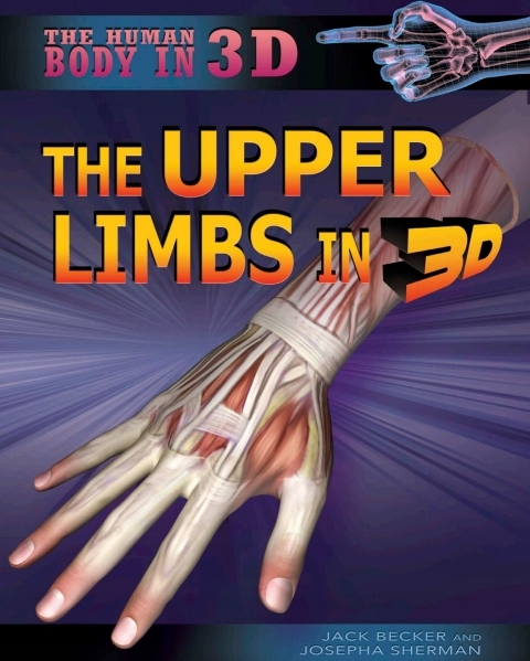 Upper Limbs in 3D - Becker, Jack (13047856601) | Ebook Allegro