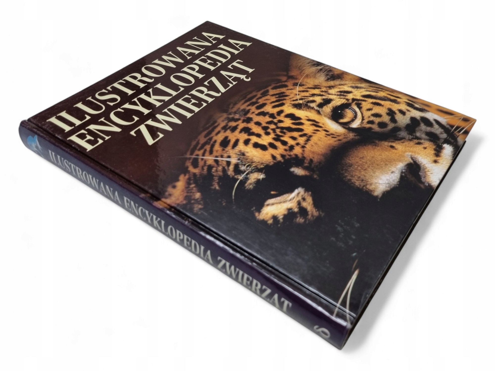 Królestwo zwierząt Nowa ilustrowana encyklopedia zwierząt świata David ...