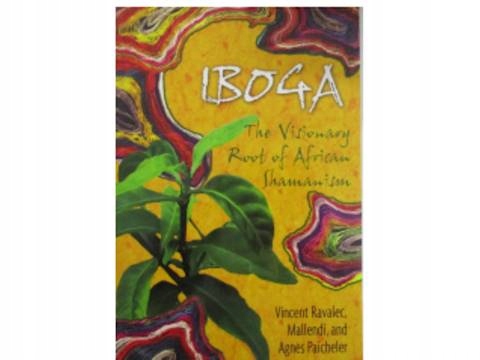 African Root - Niska cena na Allegro.pl