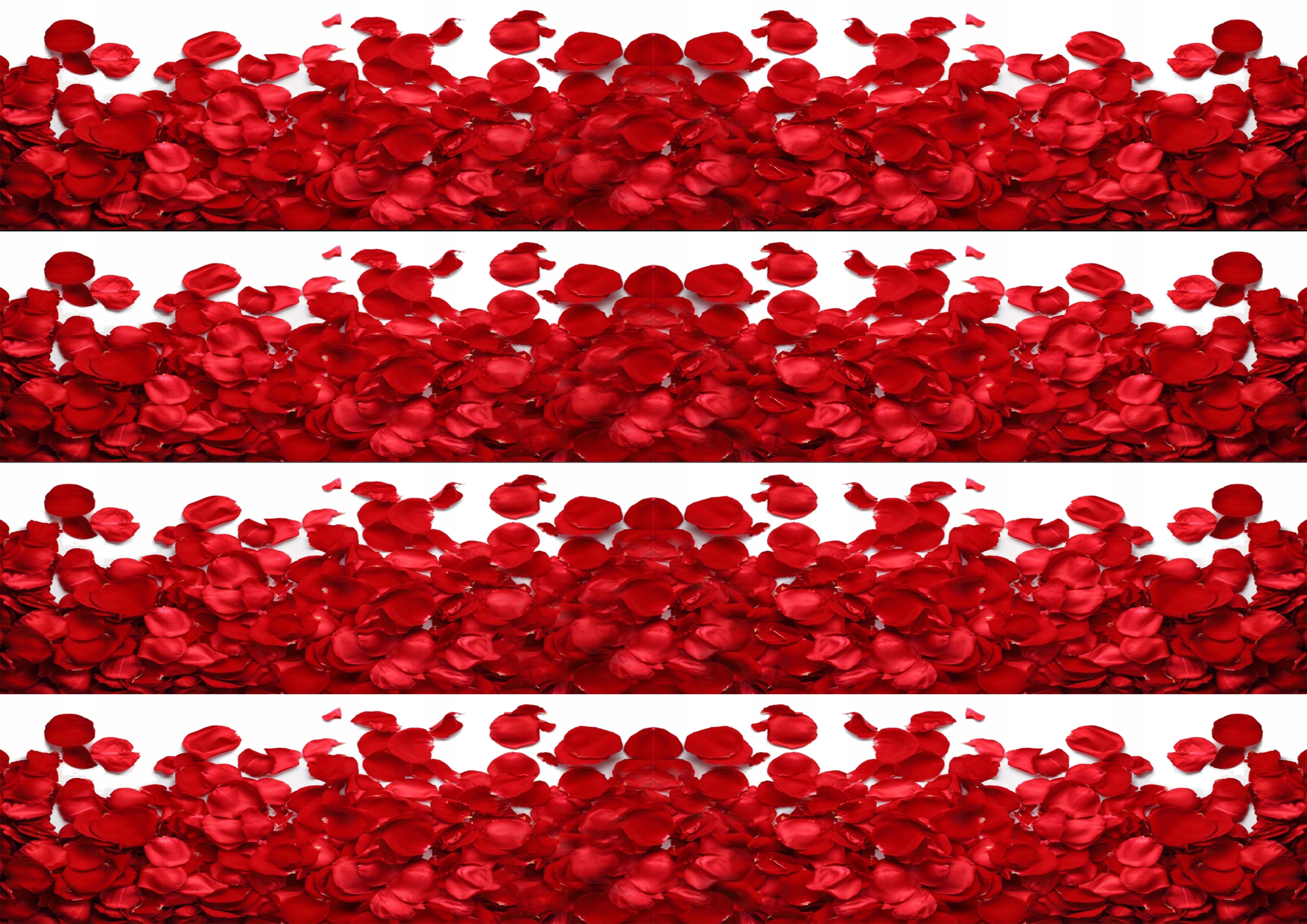 OPŁATEK NA TORT 1 PŁATKI RÓŻ RÓŻE CZERWONE Pasek • Cena, Opinie - Allegro