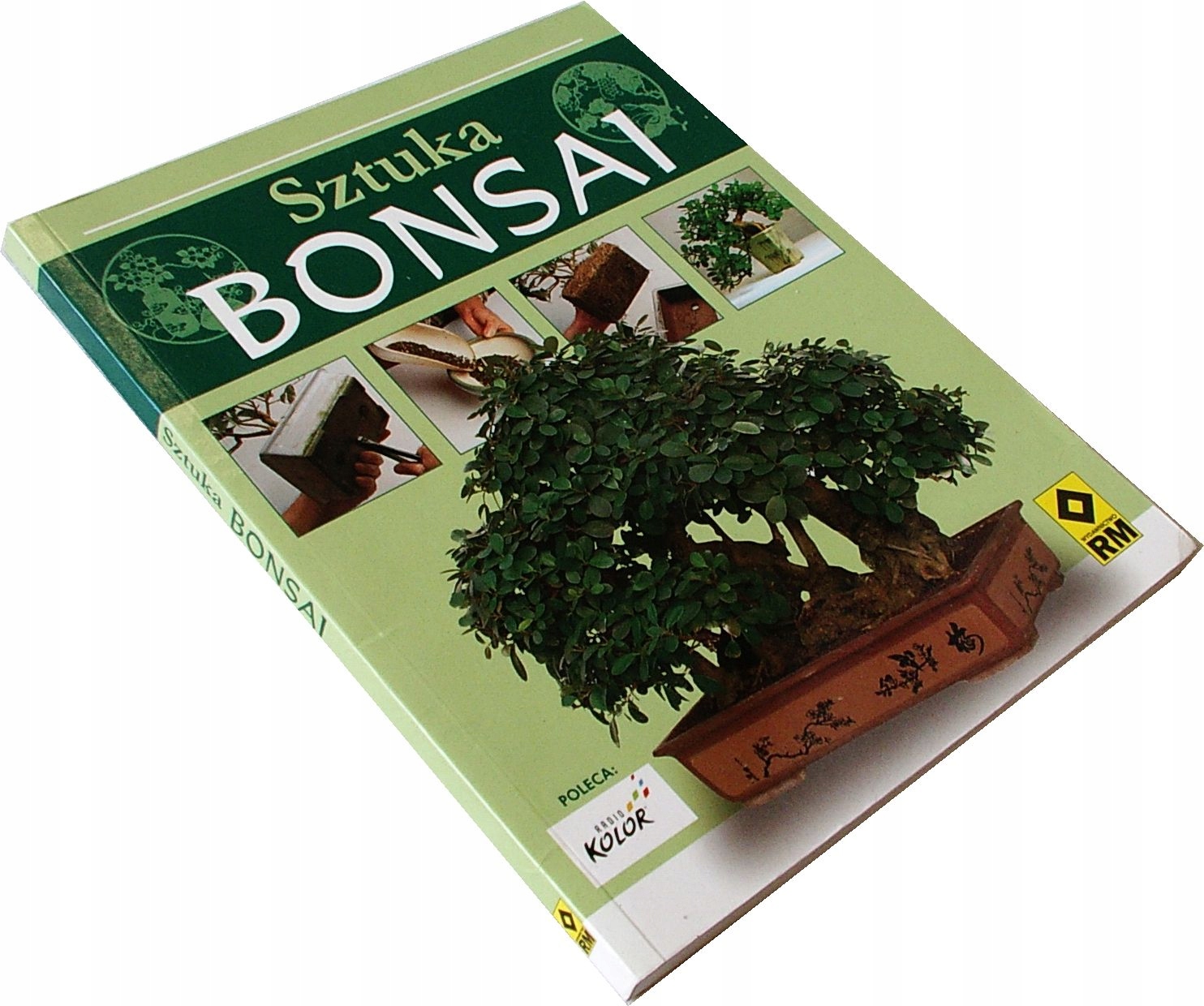 SZTUKA BONSAI - Vanna Tridi [7576C] (14092771453) | Książka Allegro