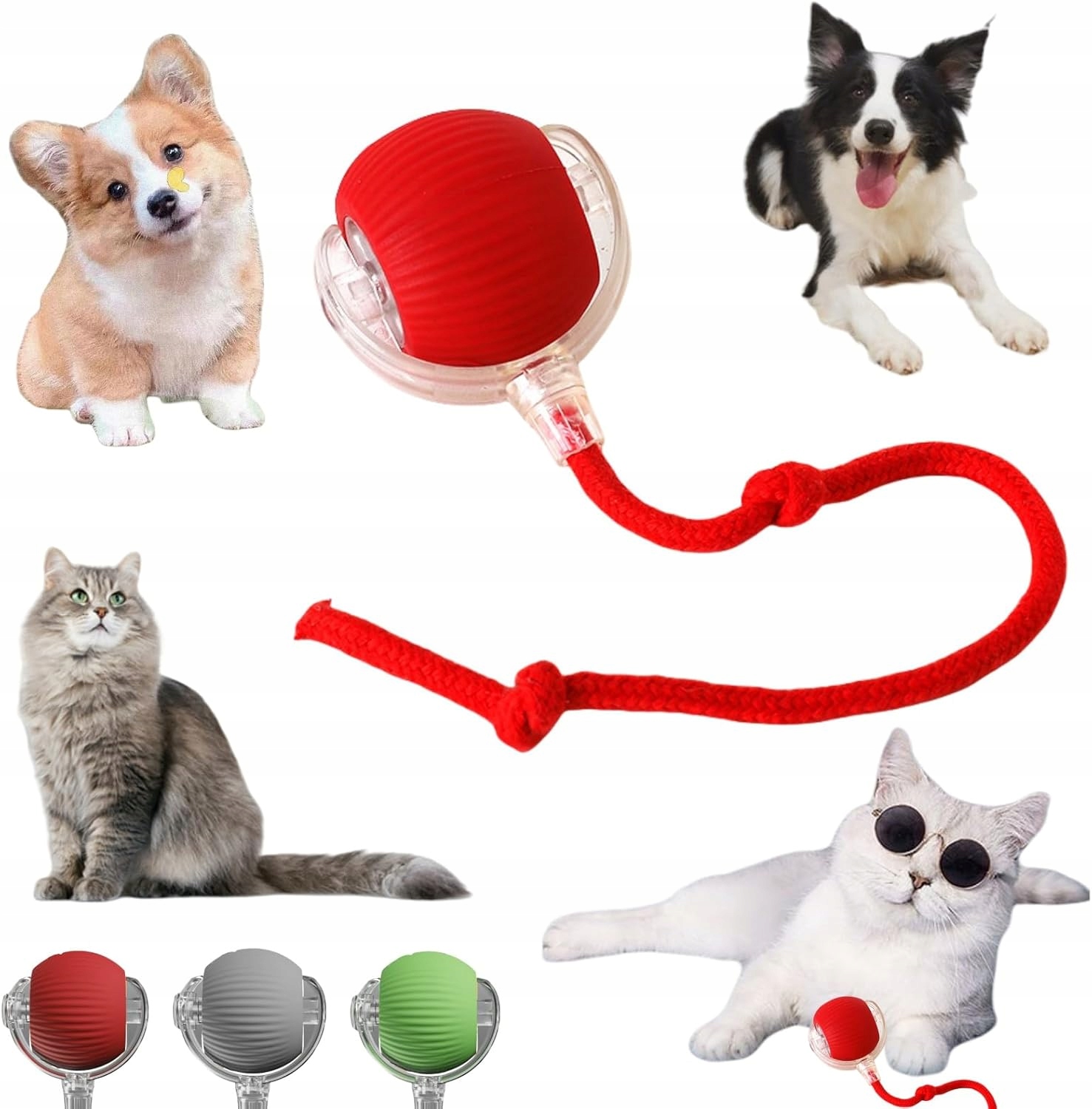 Interactive Rolling Dog Ball, Active Rolling Ball with Tail for Dogs ...