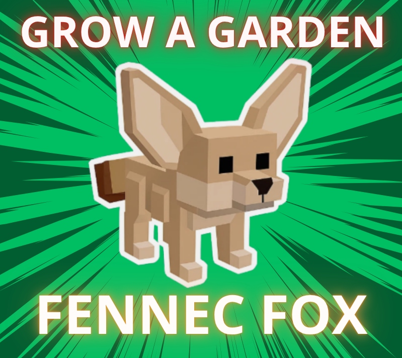 Fennec Fox | Pet | Grow A Garden | GaG | Roblox - Stan: Produkt cyfrowy ...