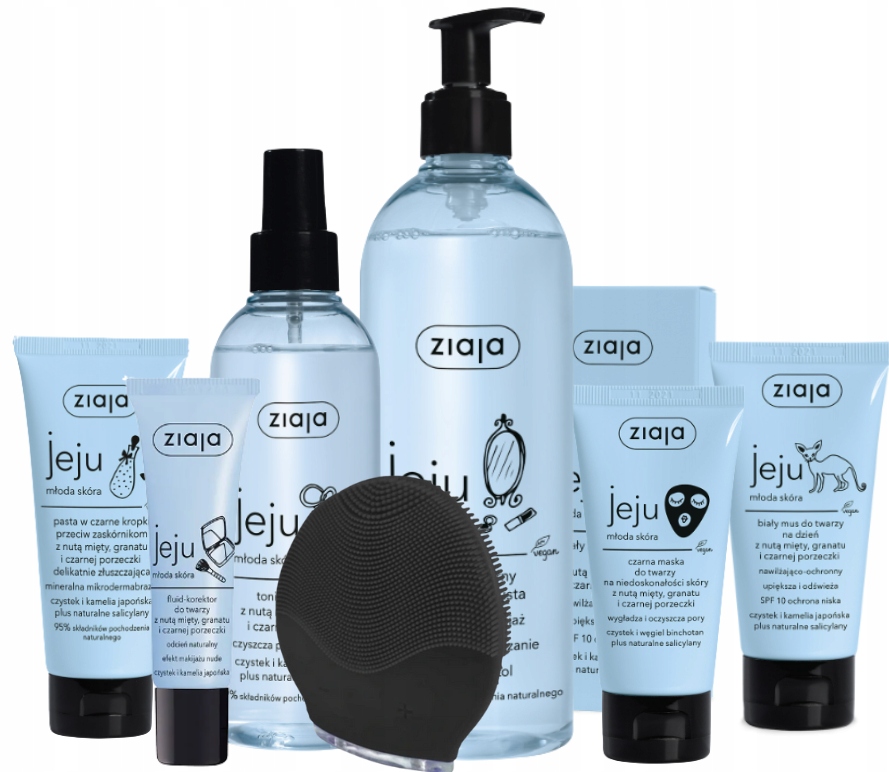 ZIAJA JEJU ZESTAW DO PIELĘGNACJI TWARZY DUŻY 11421159419 - Allegro.pl