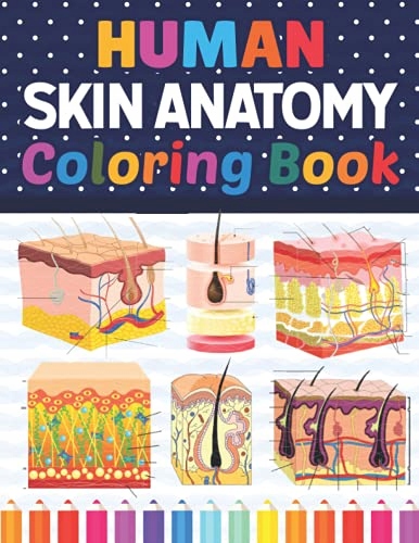Human Skin Anatomy Coloring Book: Human Skin Anatomy Workbook For Kids ...