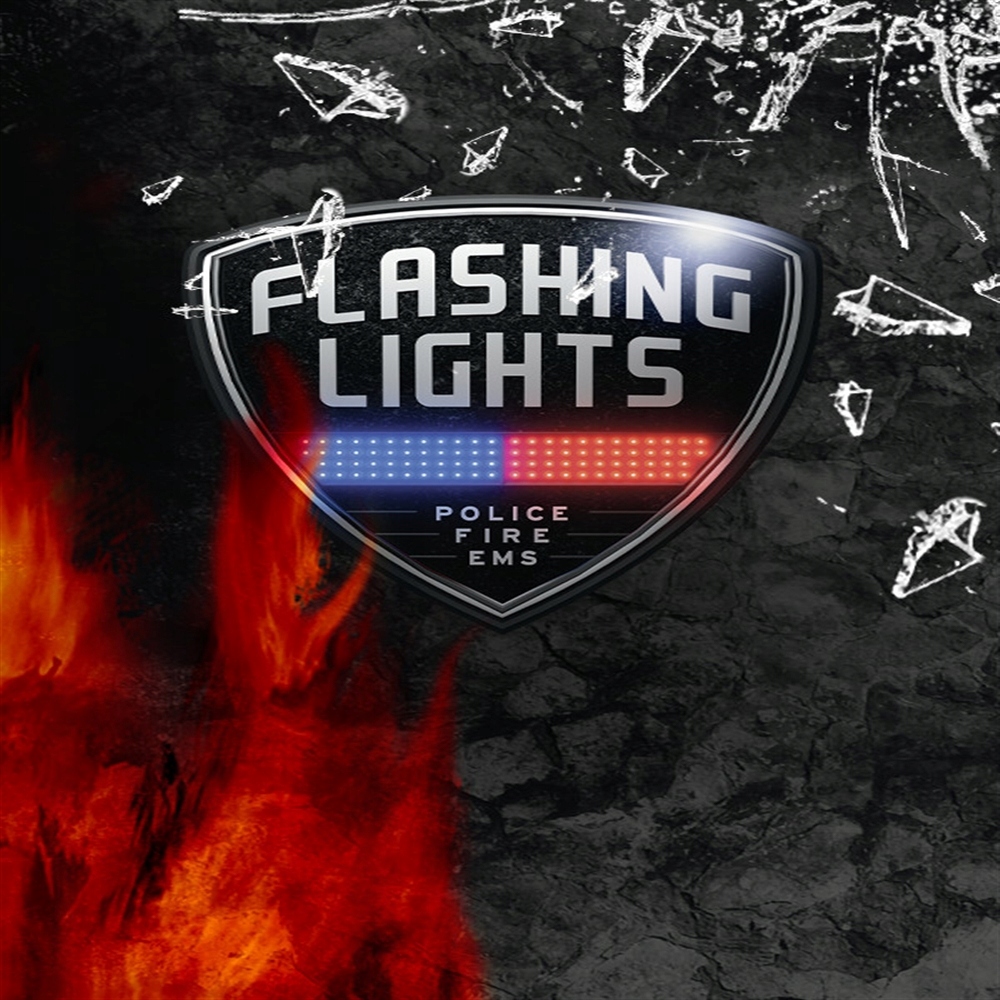 Flashing Lights STEAM - PEŁNA WERSJA PC | Dolice | Kup teraz na Allegro ...