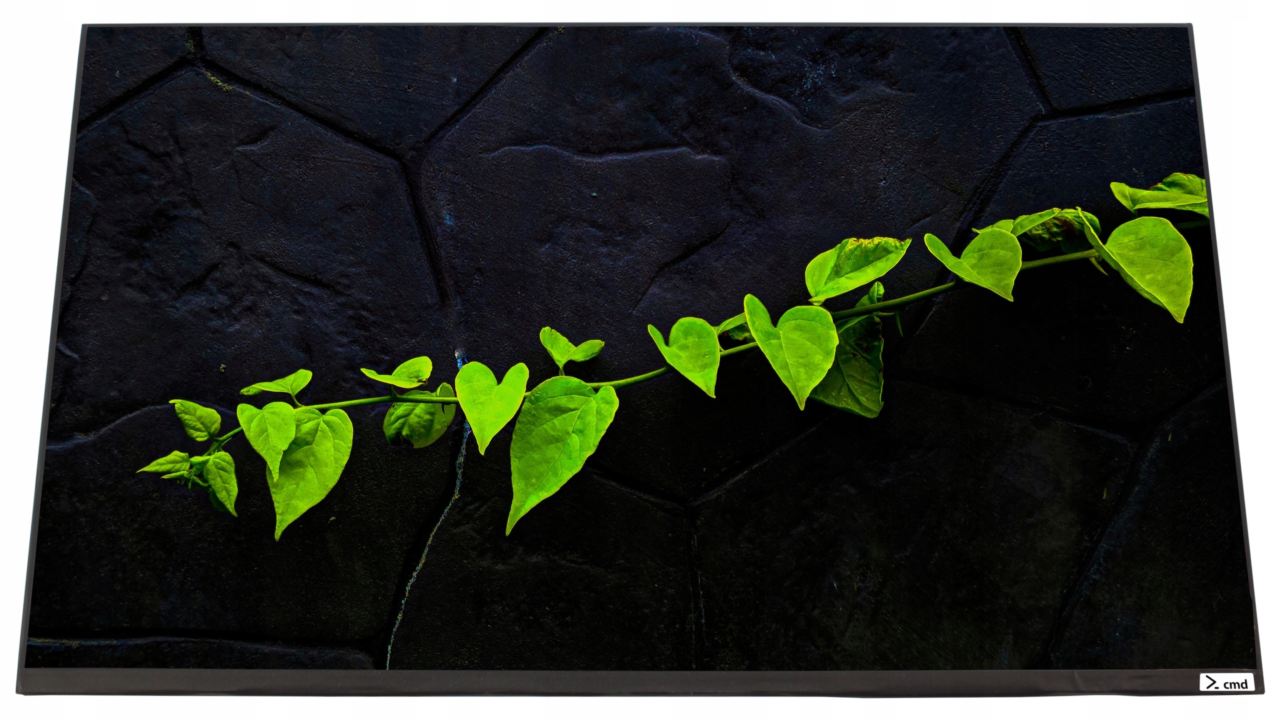 MATRYCA EKRAN LCD MAT FHD IPS DO ASUS ZENBOOK UX533FAC UX533FTC w ...