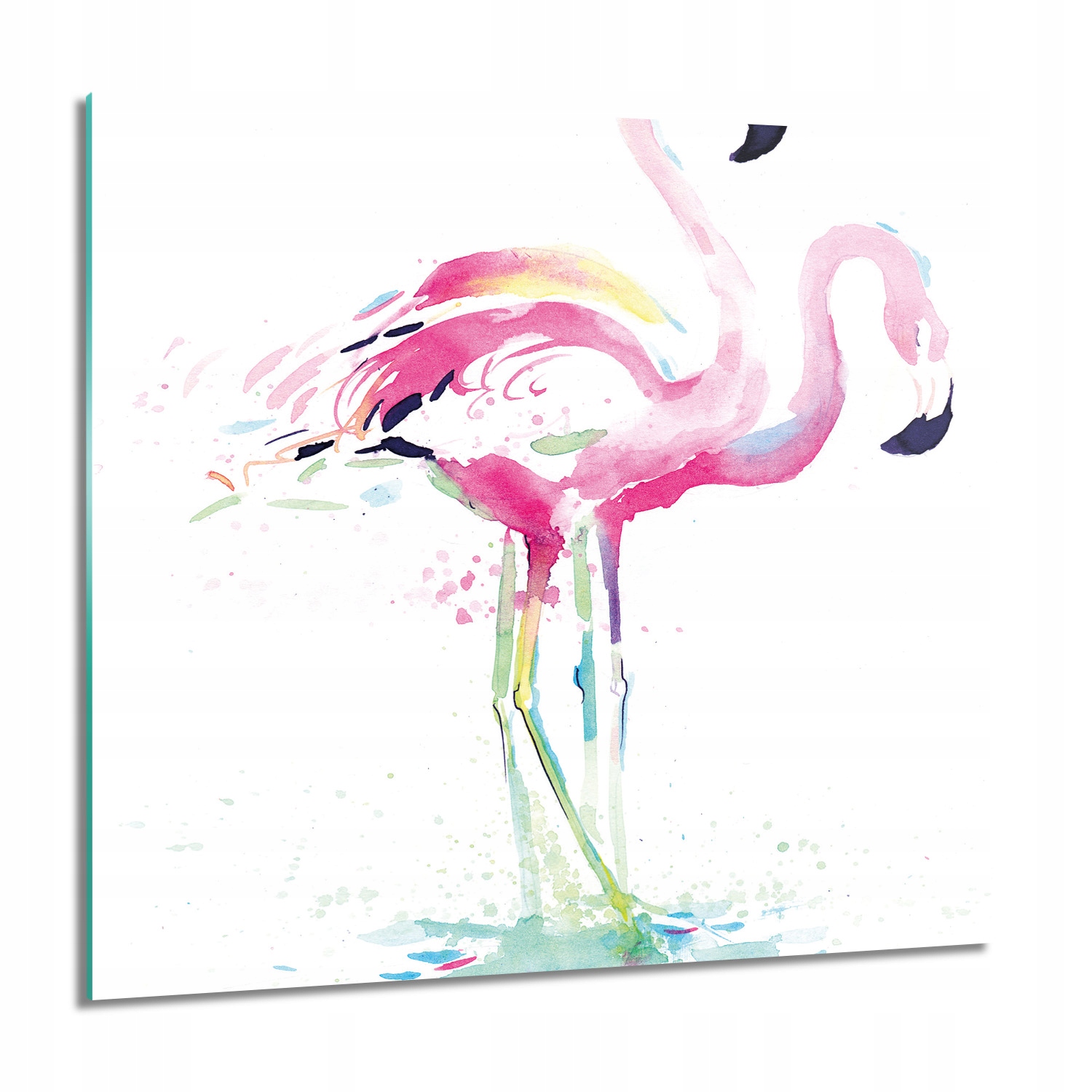 Flamingi rysunek Obraz szklany na ścianę 60x60 13492175690 - Allegro.pl