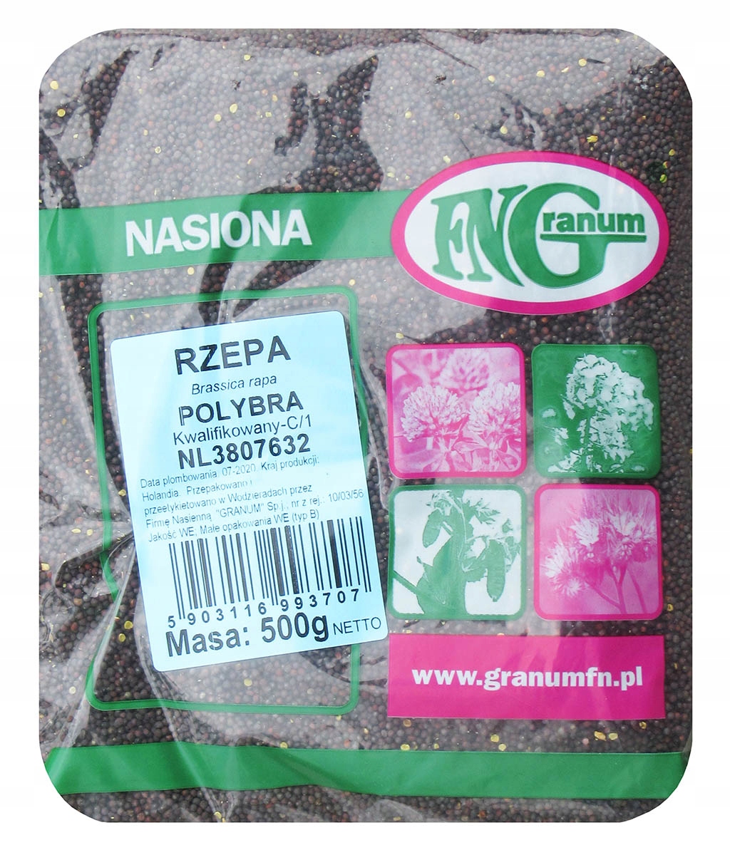 Krmna Repa - Zelenina na Allegro