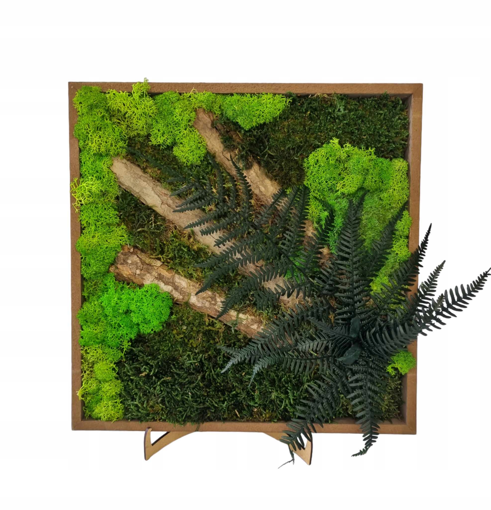 OBRAZ Z MCHEM I ROŚLINAMI STABILIZOWANYMI • Cena, Opinie • Obrazy ...