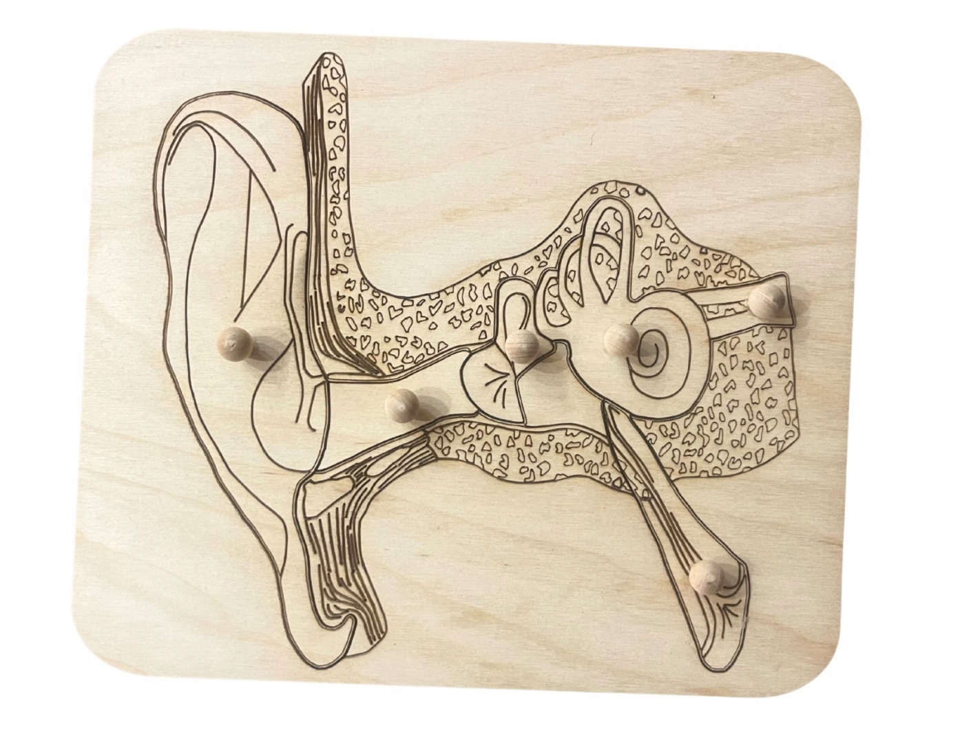 Drewniana Mapa Polski - województwa w Polsce, układanka Montessori ...