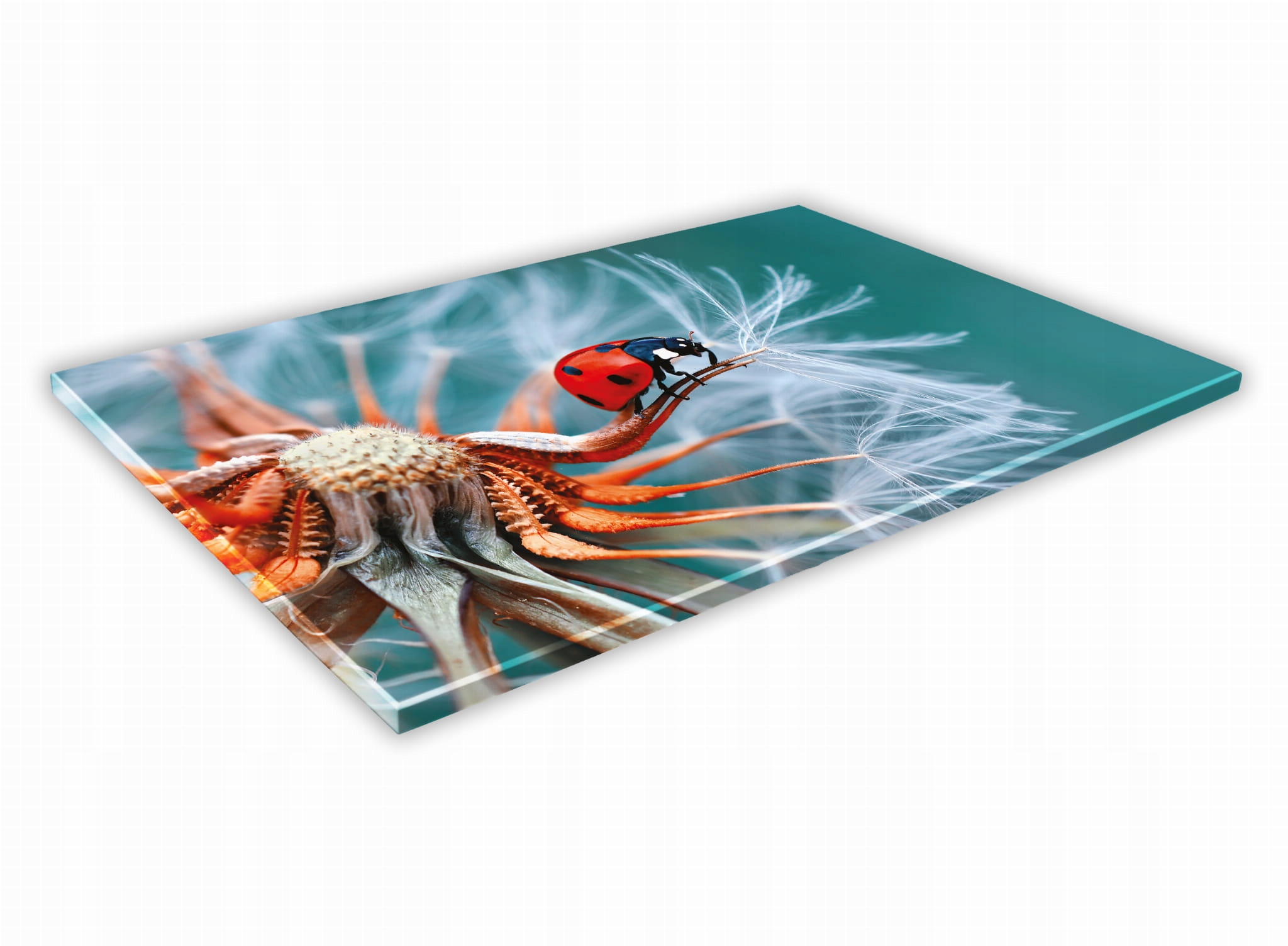 SZKLANA DESKA KUCHENNA 60x20 238c Biedronka • Cena, Opinie • Deski do ...