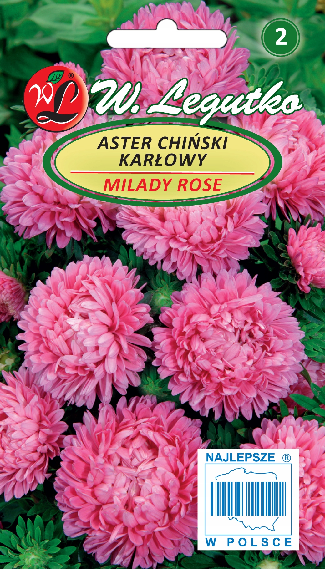 ASTER TRPASLÍK MILADY ROSE JAK CHRYZANTÉMA 1g 'LEGUTKO za 16 Kč - Allegro