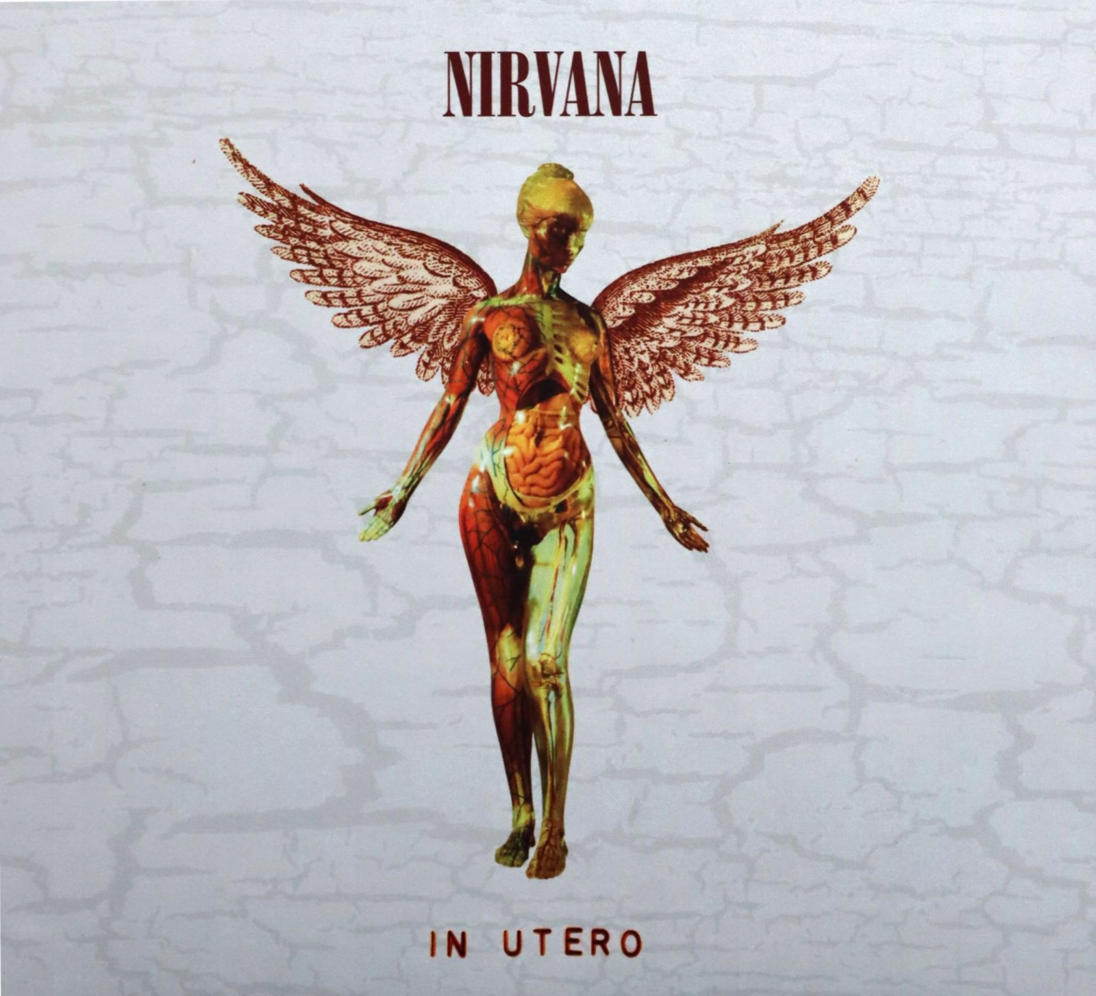 NIRVANA: IN UTERO (30TH ANNIVERSARY) (DELUXE) (2CD 14300025268 - Sklepy, Opinie, Ceny w Allegro.pl