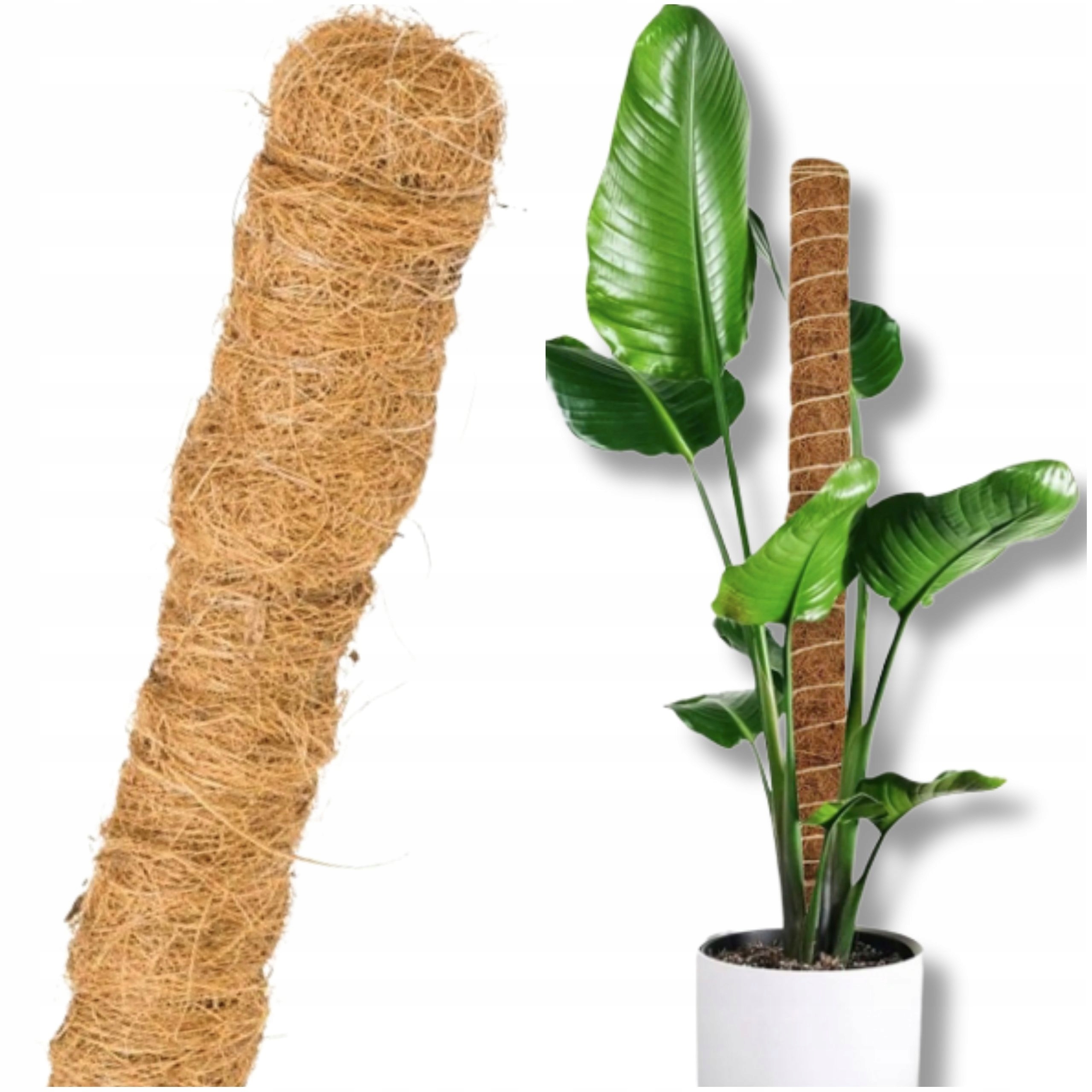 PALIK KOKOSOWY PODPORA 40 CM TYCZKA DO KWIATÓW ROŚLIN MONSTERY • Cena ...