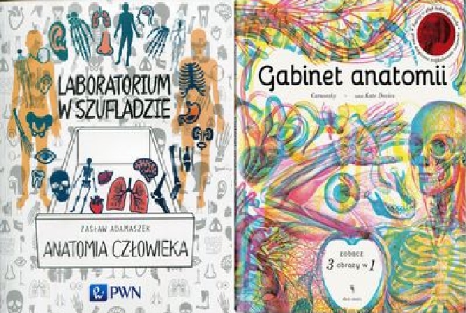 Gabinet anatomii Barbara Taylor Książki dla dzieci (13634828840) | Allegro