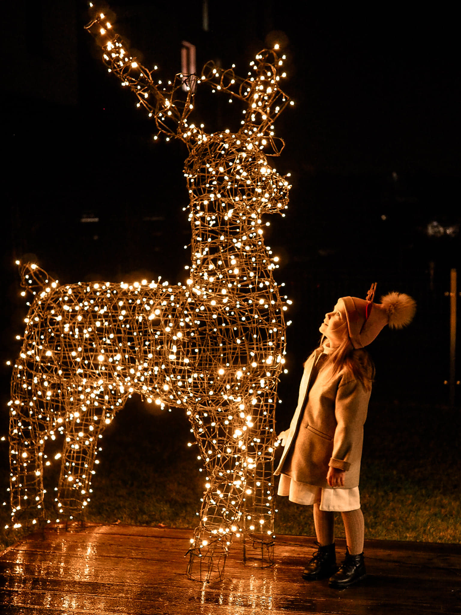 Renifer Swiecacy - Niska cena na Allegro.pl