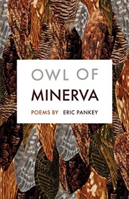 Owl of Minerva: Poems ERIC PANKEY (13704460919) | Książka Allegro Owl of Minerva: Poems ERIC PANKEY (13704460919) | Książka Allegro
