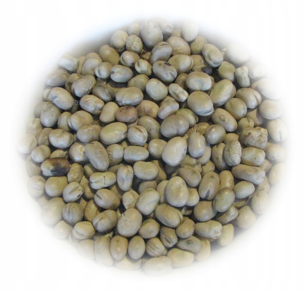 Bobik 2,0 kg - 5903917762021 - 10131909731 - Allegro