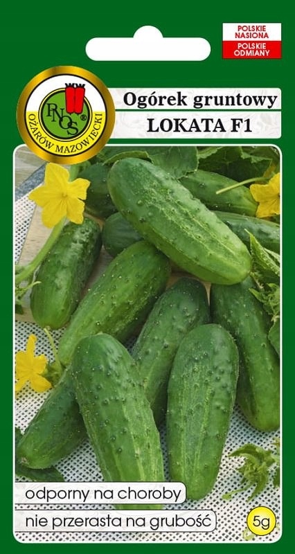 Ogórek gruntowy LOKATA F1 - 5g. ! - nasiona PNOS (5904232003103) • Cena ...
