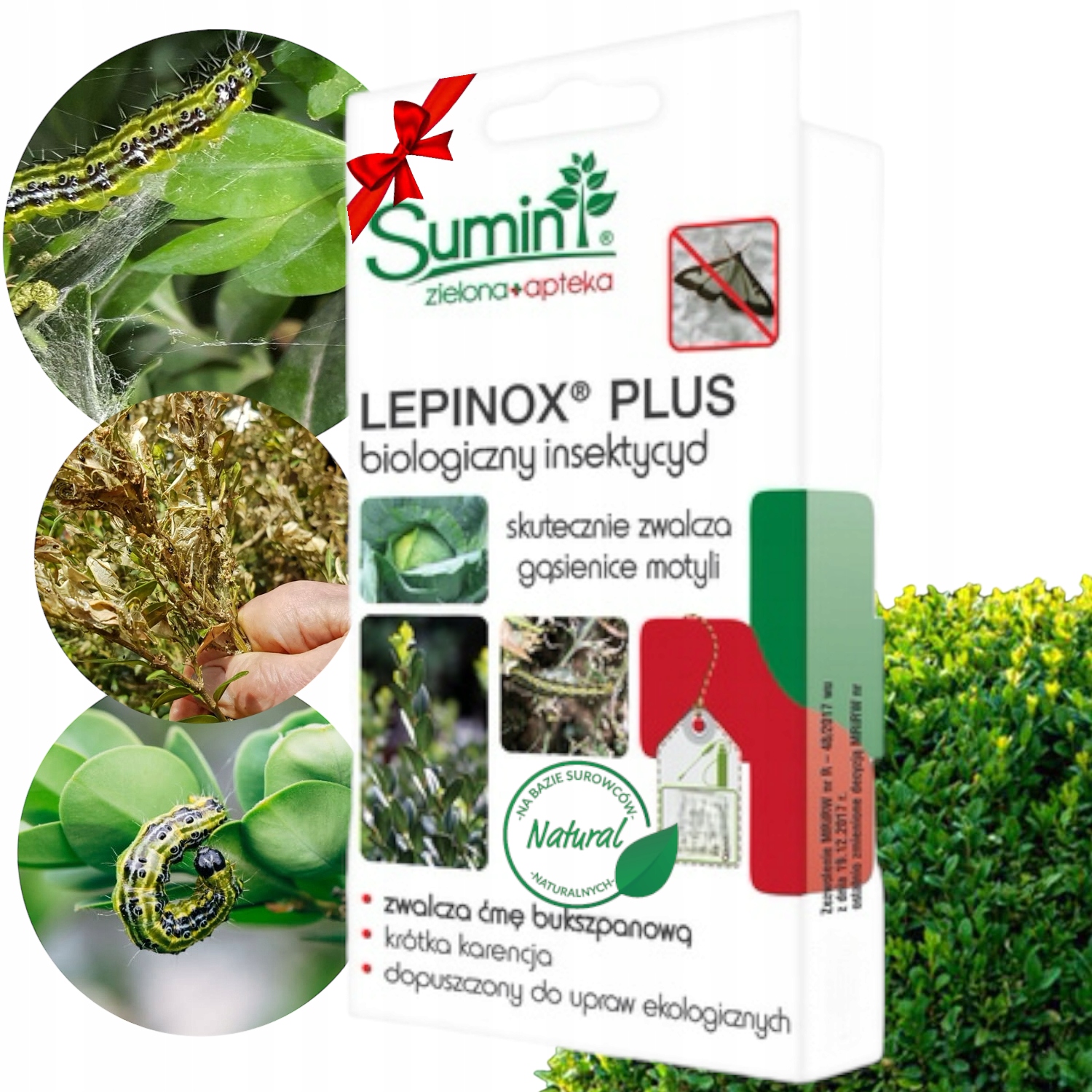 LEPINOX ĆMA PLUS 25g ZWALCZA GĄSIENICE MOTYLI OWADOBÓJCZY (KKA-09783 ... LEPINOX ĆMA PLUS 25g ZWALCZA GĄSIENICE MOTYLI OWADOBÓJCZY (KKA-09783 ...