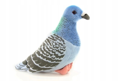 Plyšák Plyšový Holub ZOO Pták 22 cm - Allegro