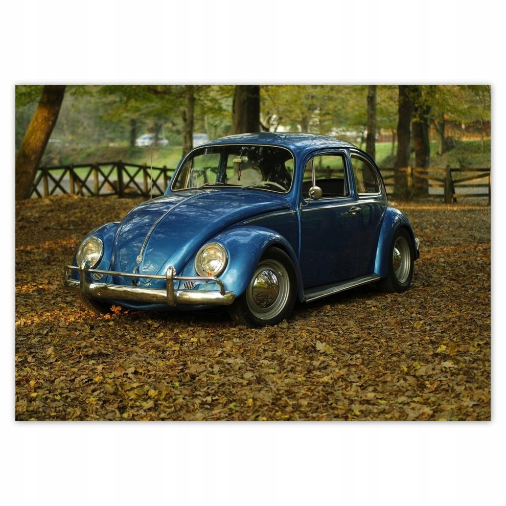 Naklejki Plakaty A0 POZIOM Garbus VW samochód] • Cena, Opinie ...